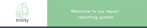 Trinity repair reporting